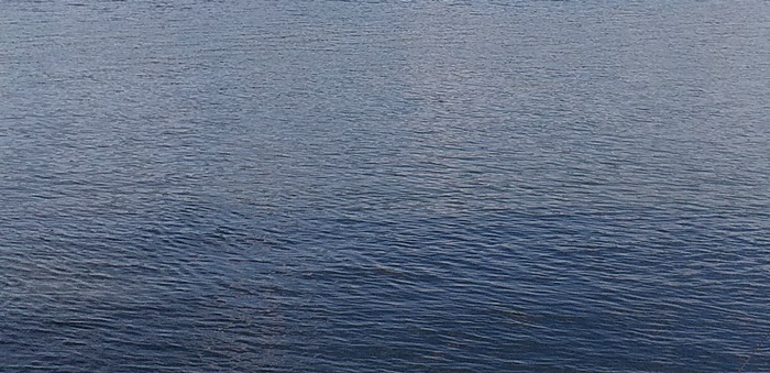 Ceremonia depunerii în Dunăre a crucii de flori sfințită va fi fără ...